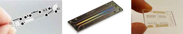 Single cell DNA-analysis on-chip - Co van Ledden Hulsebosch Center