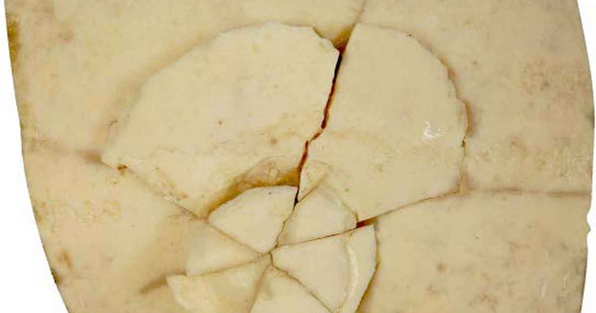 Fracture pattern characterisation in human bone trauma - Co van Ledden ...