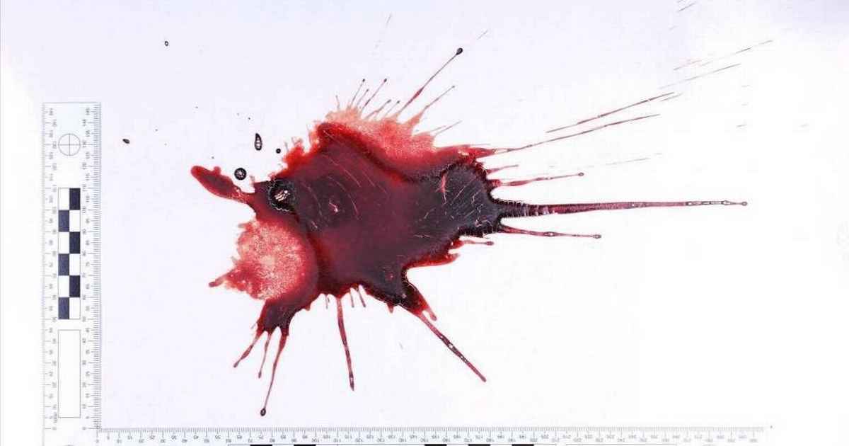 Possibilities and limitations of Activity Level Reporting in Bloodstain ...